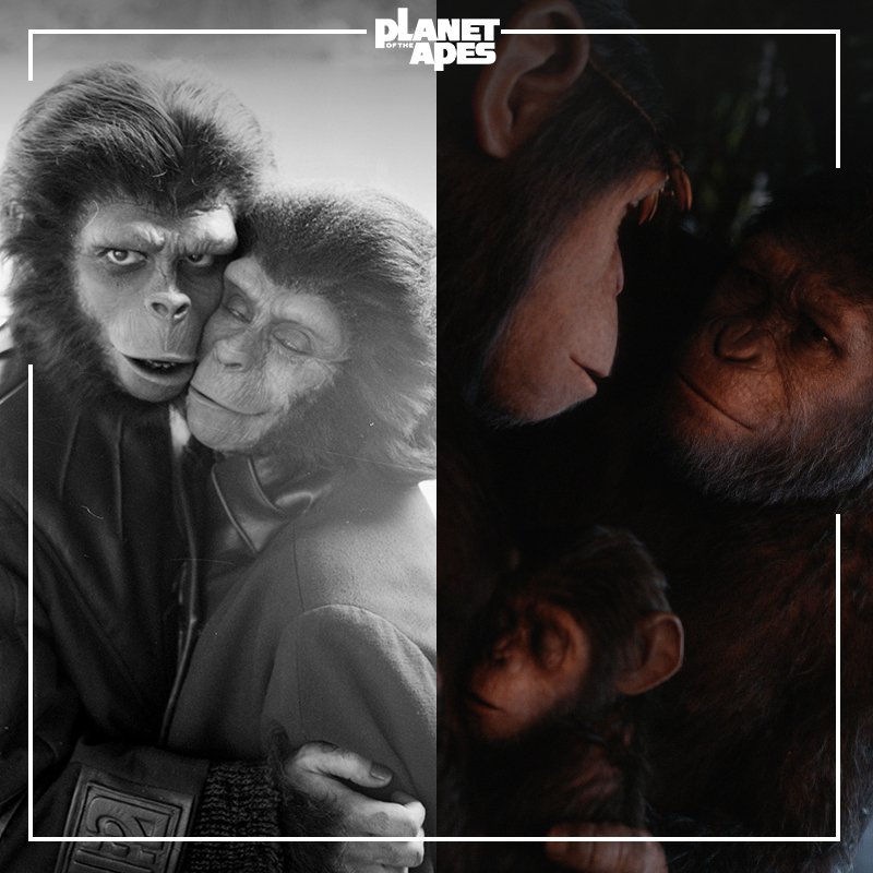 Rise Of The Planet Of The Apes Caesar And Cornelia