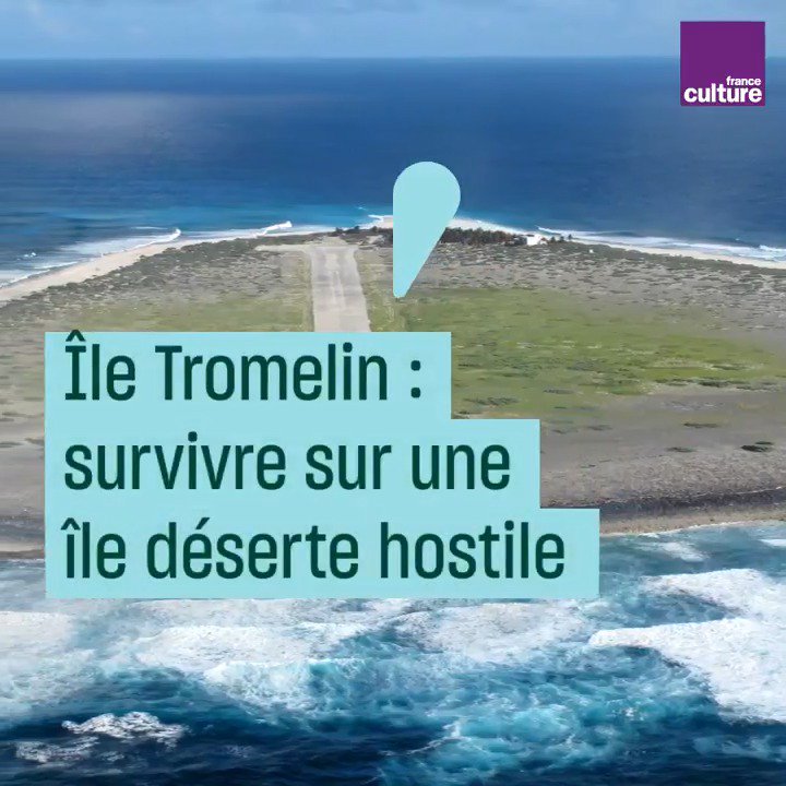 Histoire De Survie Sur Une Ile Deserte - Nouvelles Histoire Histoire De Survie Sur Une Ile Deserte - Nouvelles Histoire