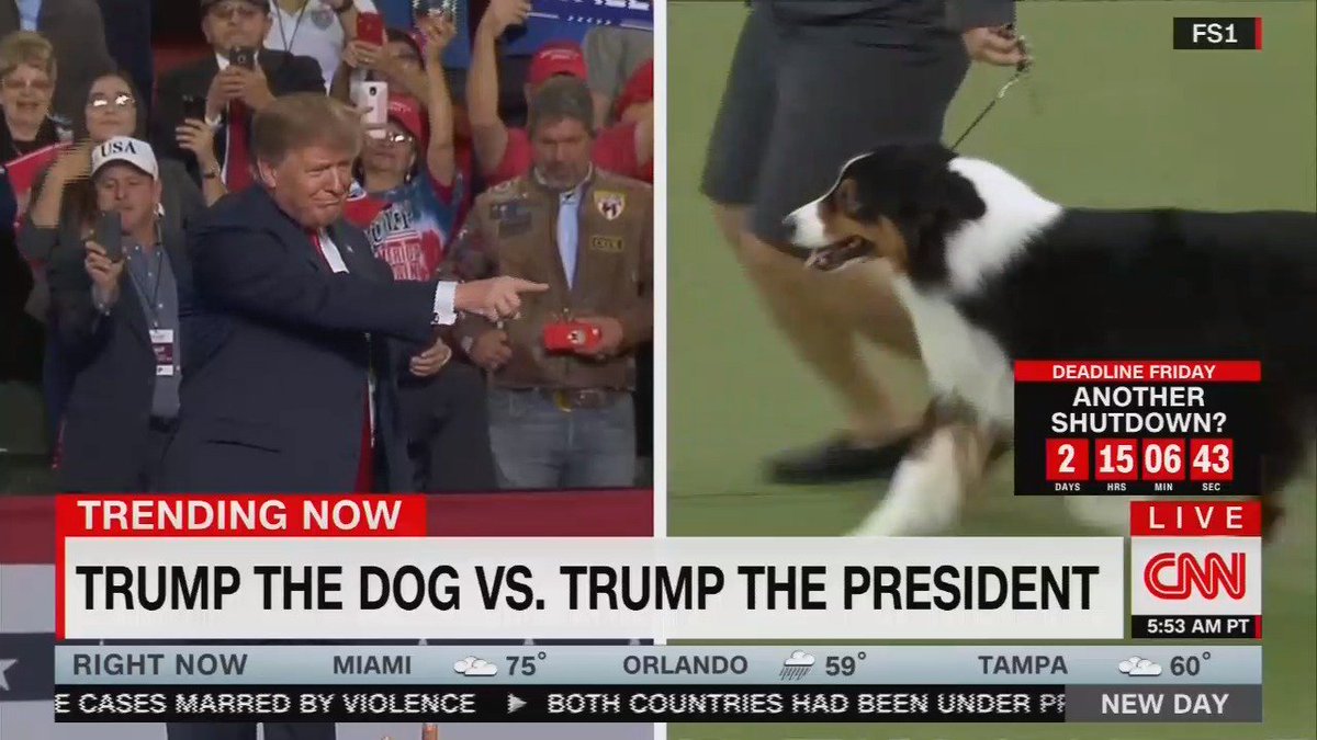 CNN now comparing Trump to dogs