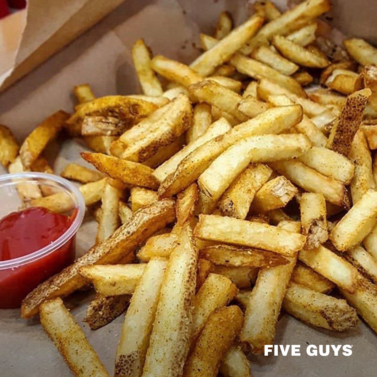 Regular Fries Five Guys
