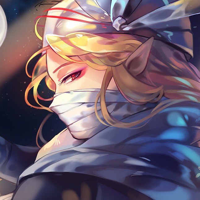 Sheik Hyrule Warriors Concept Art