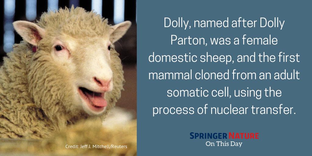Dolly The Cloned Sheep