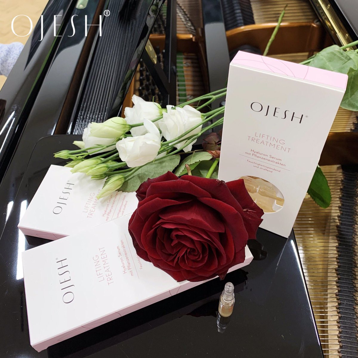 OJESH Canada (@OjeshCanada) | Twitter