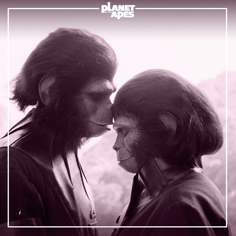 Planet Of The Apes Cornelius And Zira