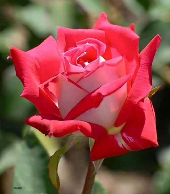 Sonia Amat Sanchez On Twitter Follow Me My Snapchat Free Soniaamat