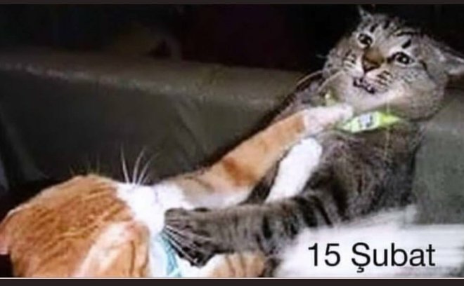 Devran Bor (@DevranBor0) | Twitter