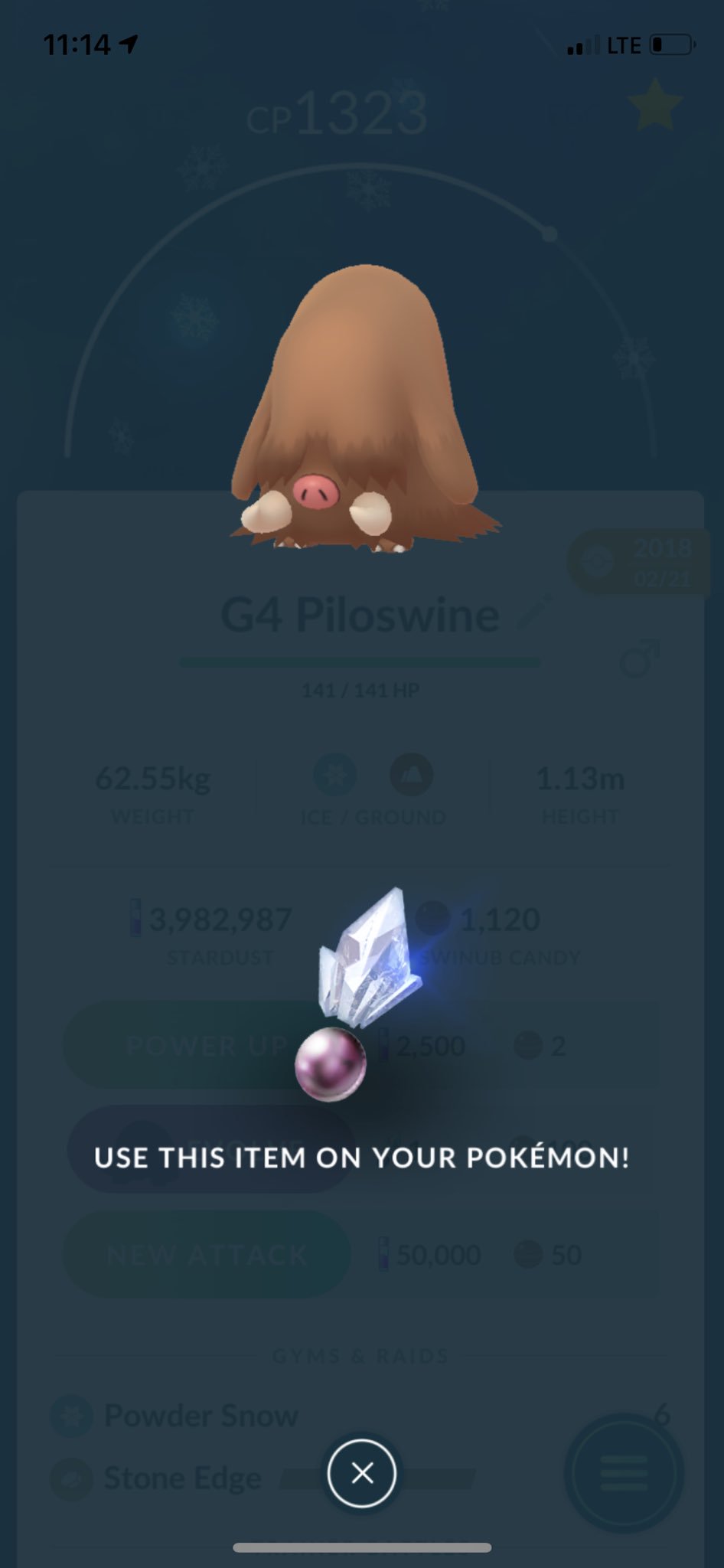 Piloswine Evolution