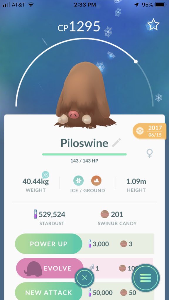 Piloswine Evolution