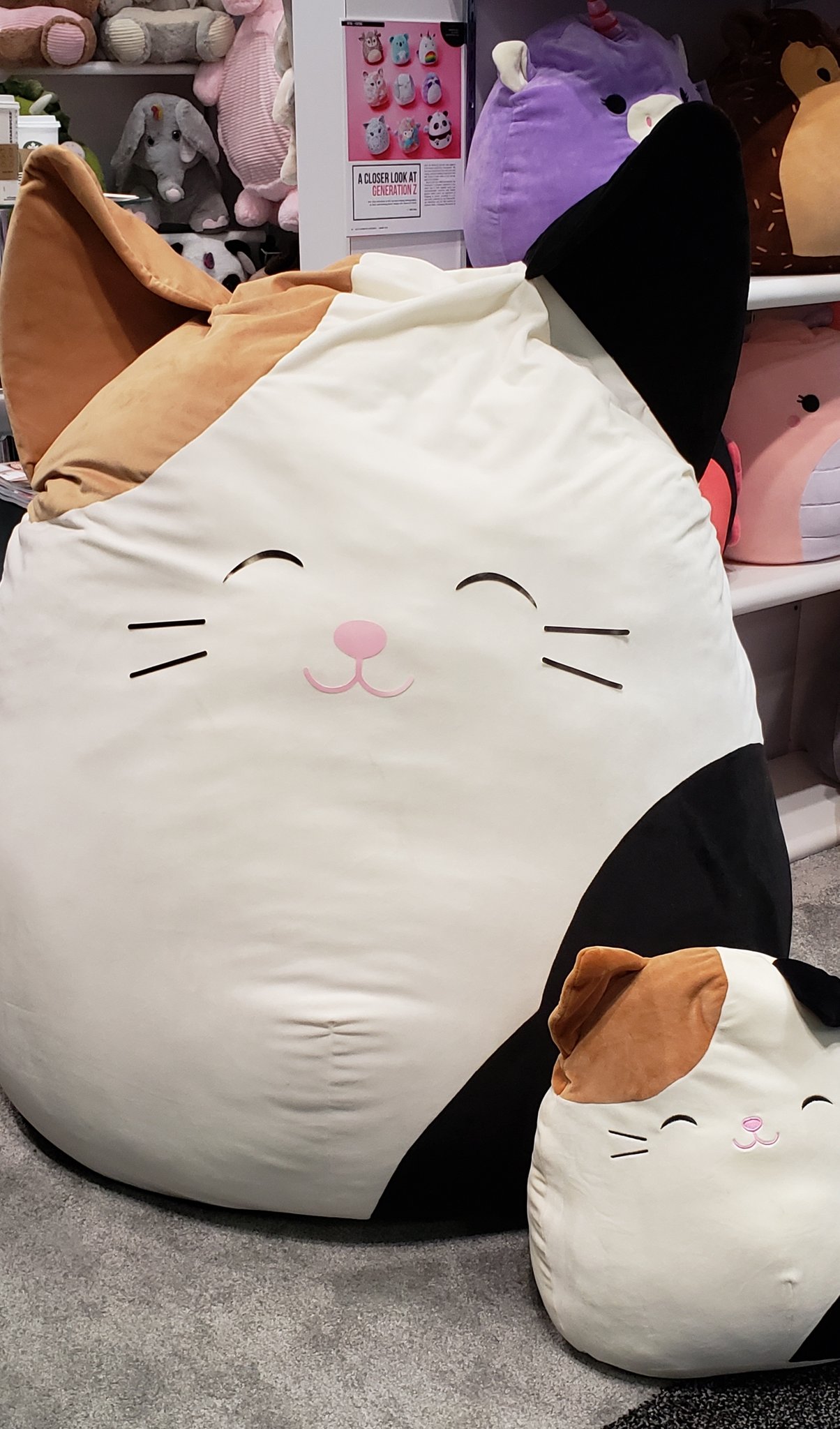 Squishmallow 16 Cameron The Cat Online Collection | www.egerton.ac.ke