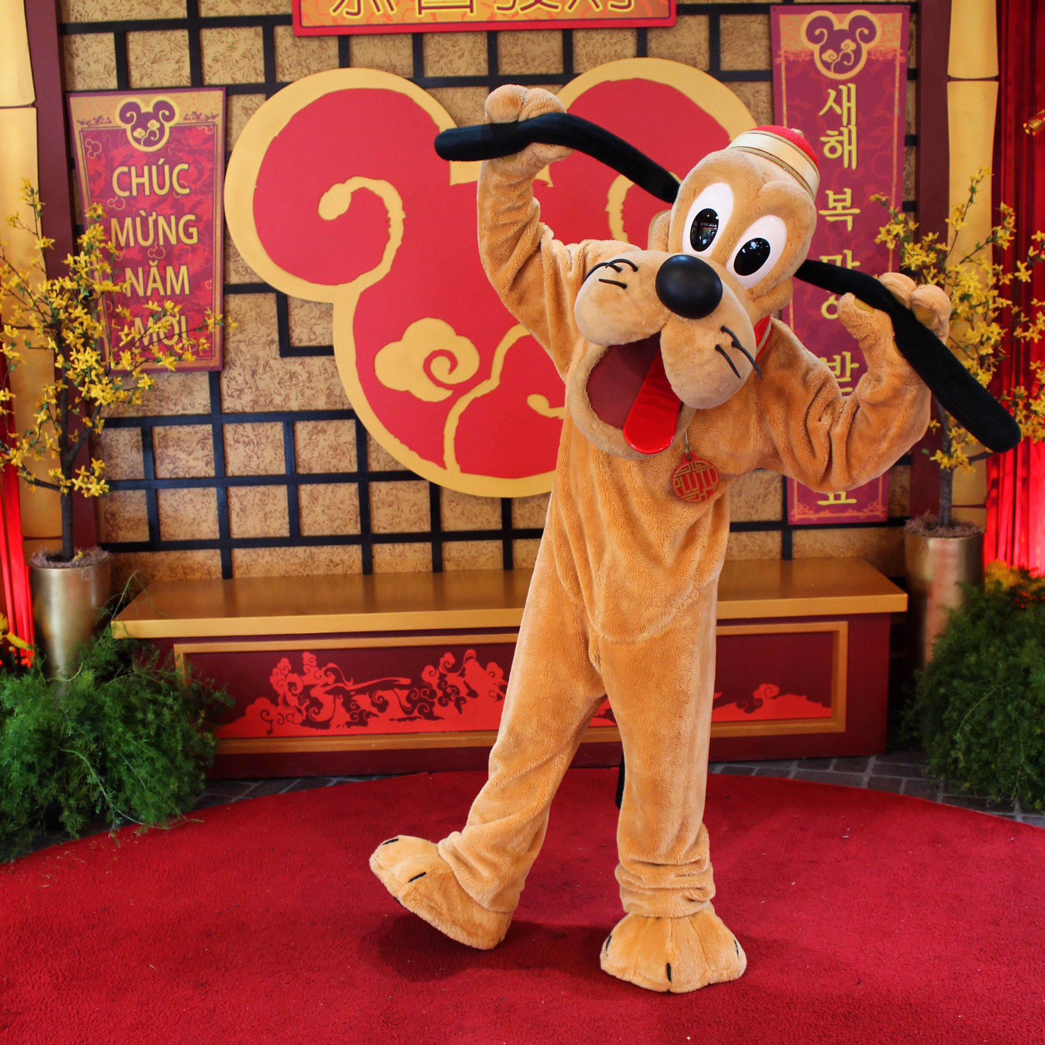 Pluto Disneyland Here Is A Look At A New Goofy And Pluto Tote Bag