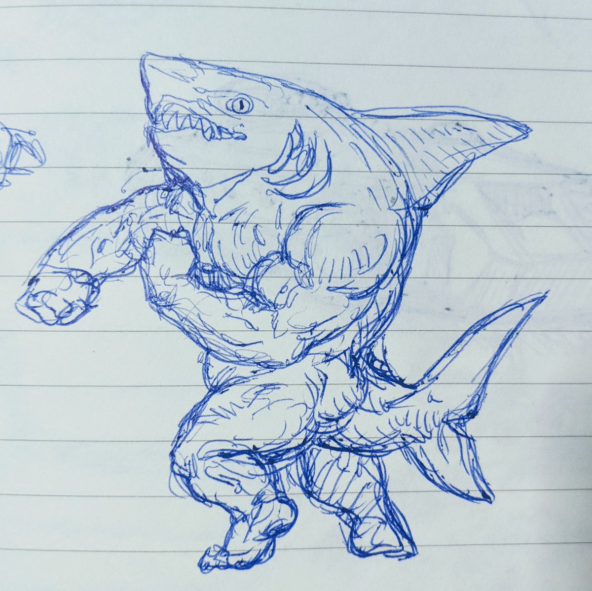 Buff Shark Drawing