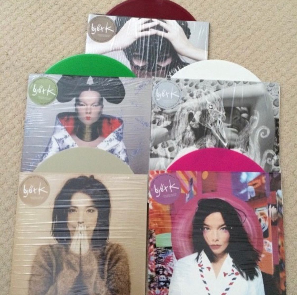 Bjork Post Vinyl