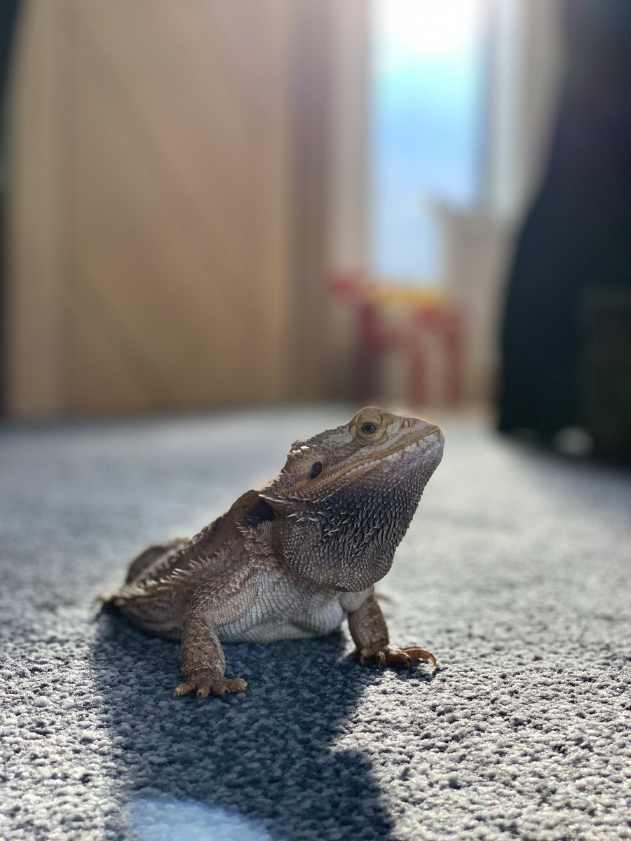 1461 best Good Morning World images on Pholder | Walt Disney World, Aww ...