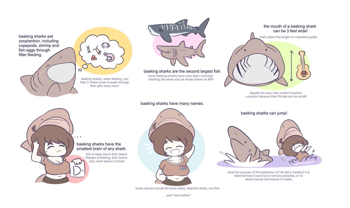 「let's learn about makos,, with oxyri.... 」gus 🦈の漫画