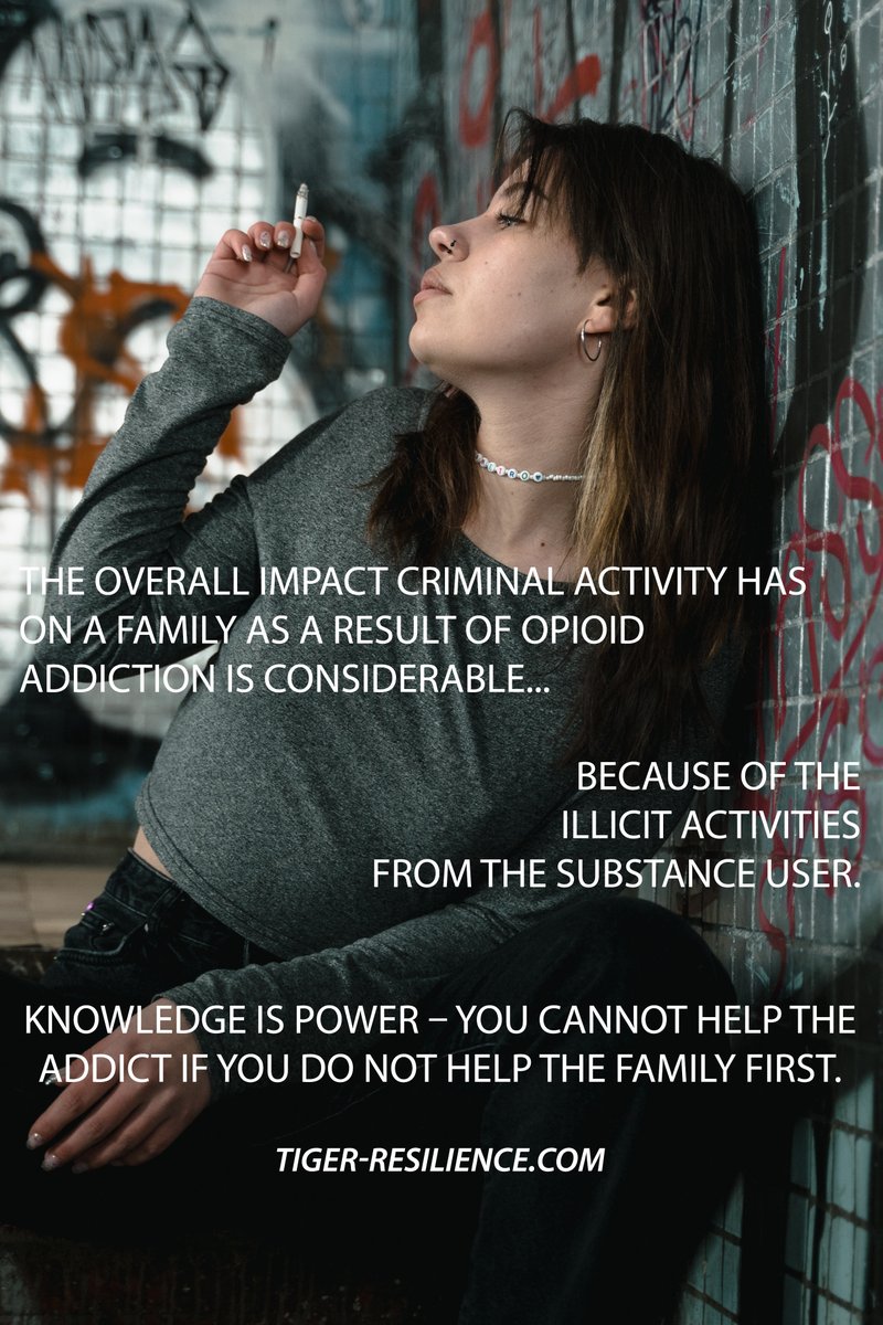 Tiger Resilience LLC (@Tigeresilience) | Twitter