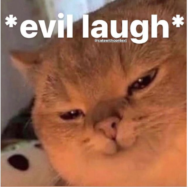Evil Laughing Cat Meme