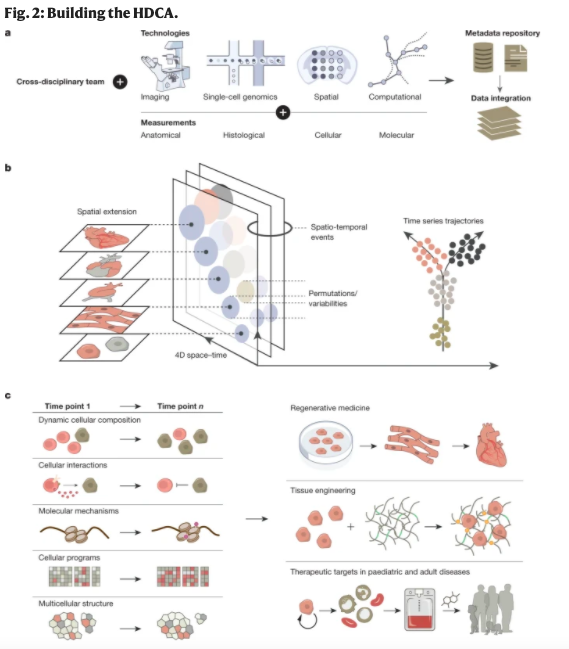 Hojae Lee (@hojaeklee) | Twitter