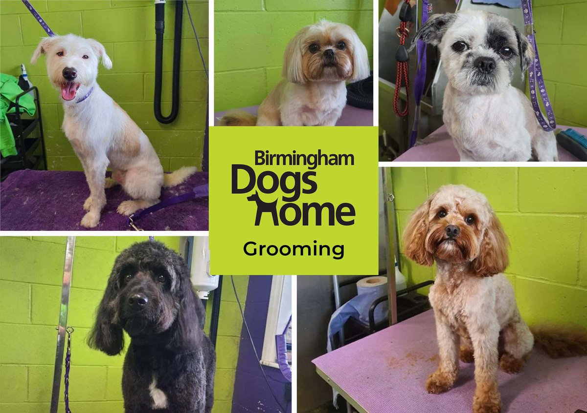 Nicola Nolan (@nikkinolan) | Twitter