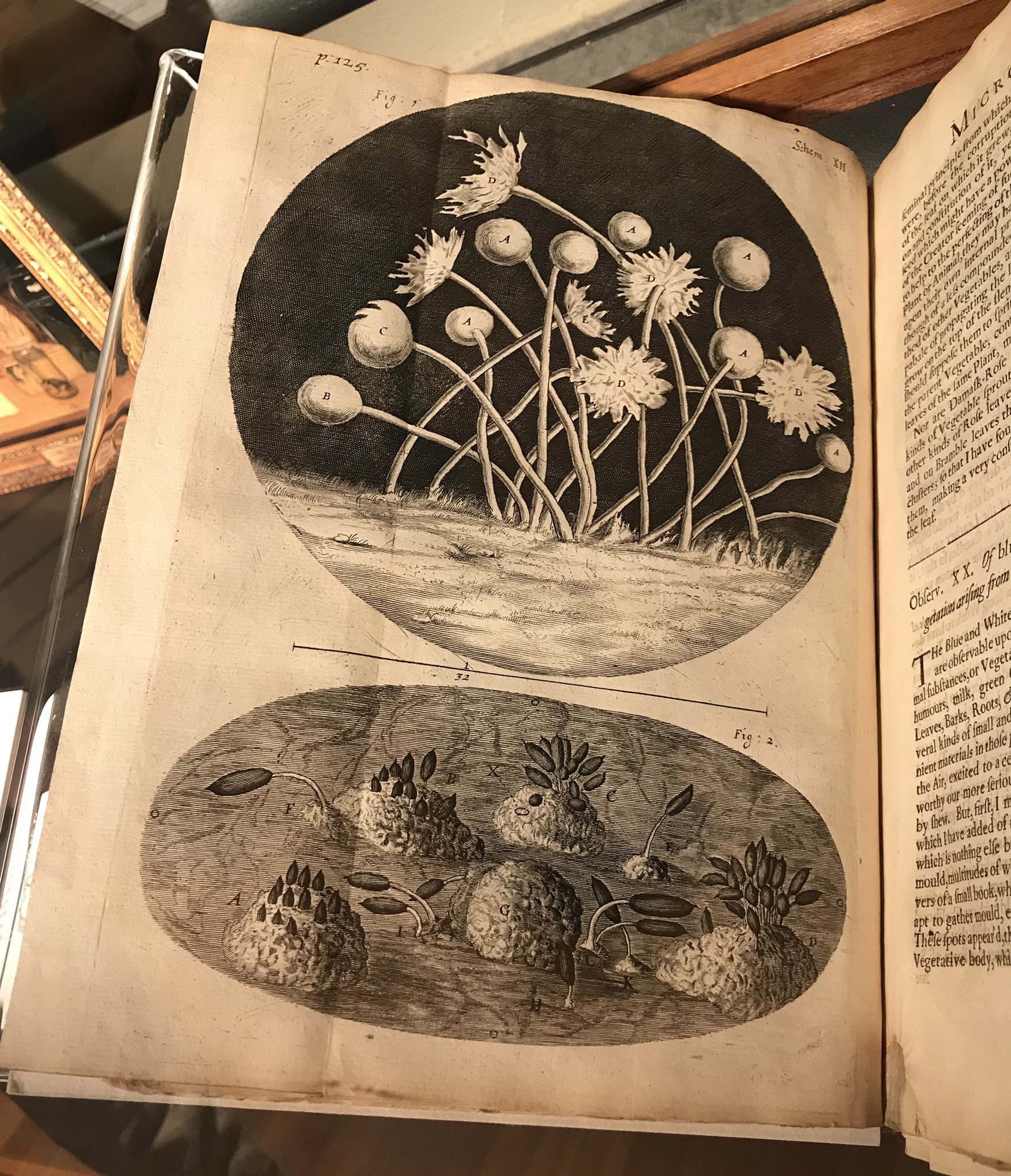 MicroBIO On Twitter: Y La Edición Original De, 47% OFF