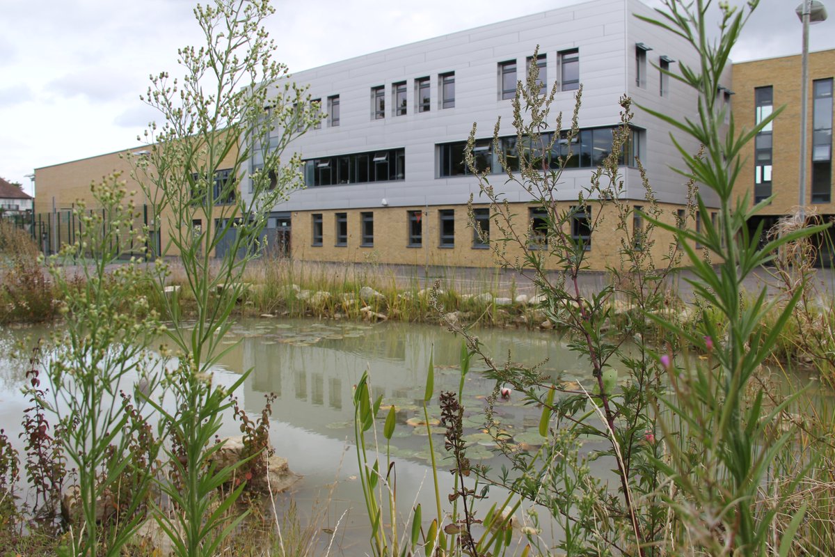 Welcome to The Sydenham & Forest Hill 6th Form