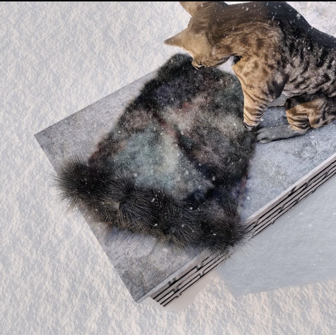 P official (@pppppp_official) | Twitter