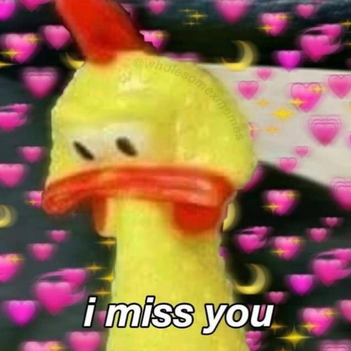 Cute I Miss You Meme