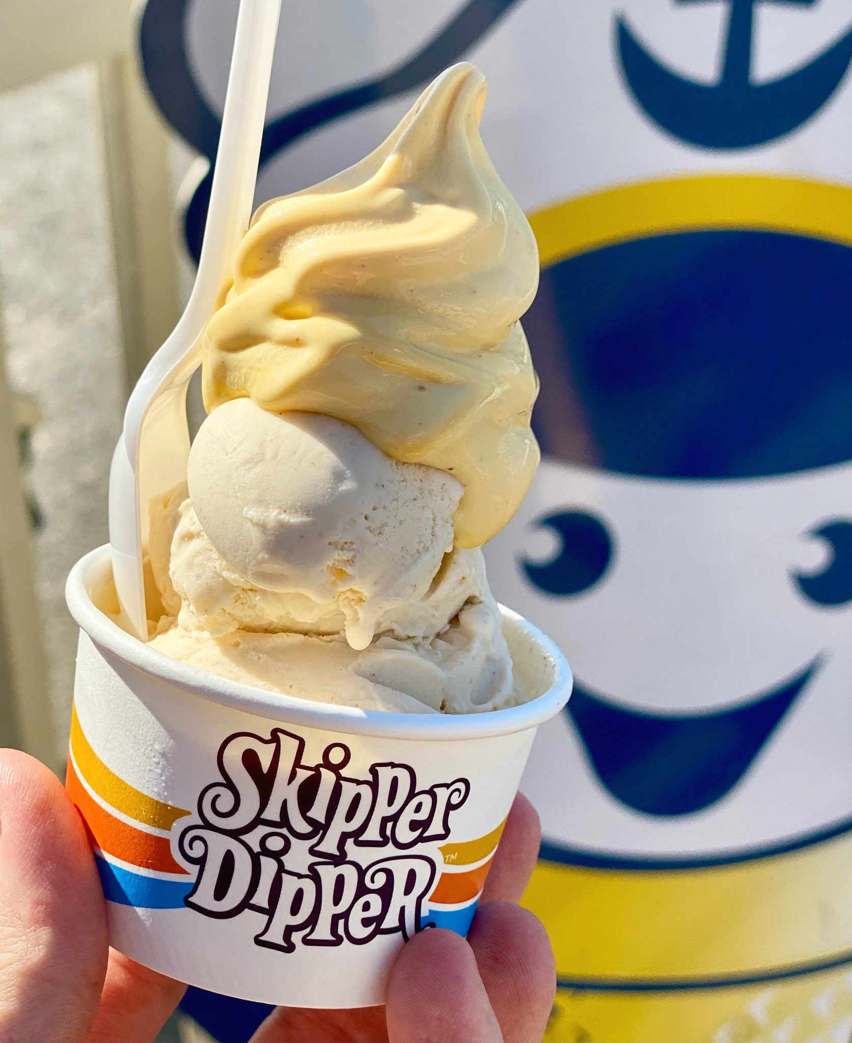 Skipper Dipper Logo The 8 Best Kid Friendly Gluten Free Spots In North