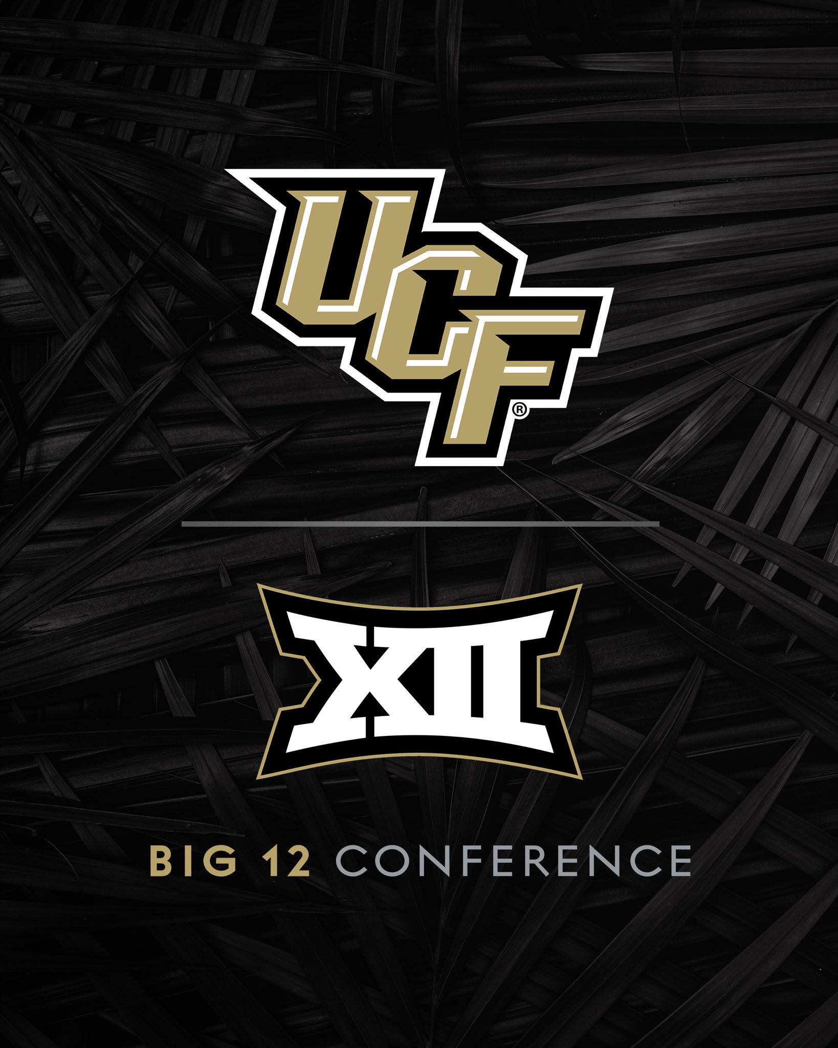 Big 12 Logo