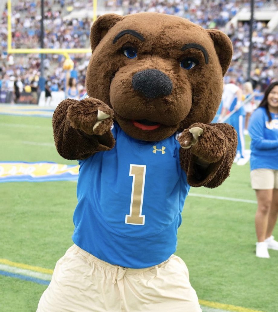 Ucla Joe Bruin