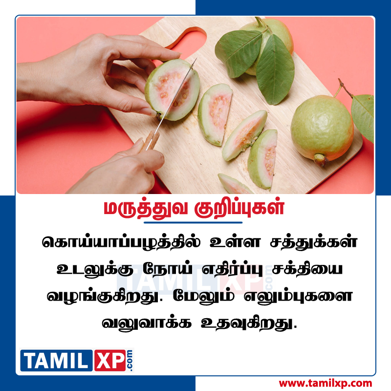 Tamilxp Health (@tamilxphealth) | Twitter