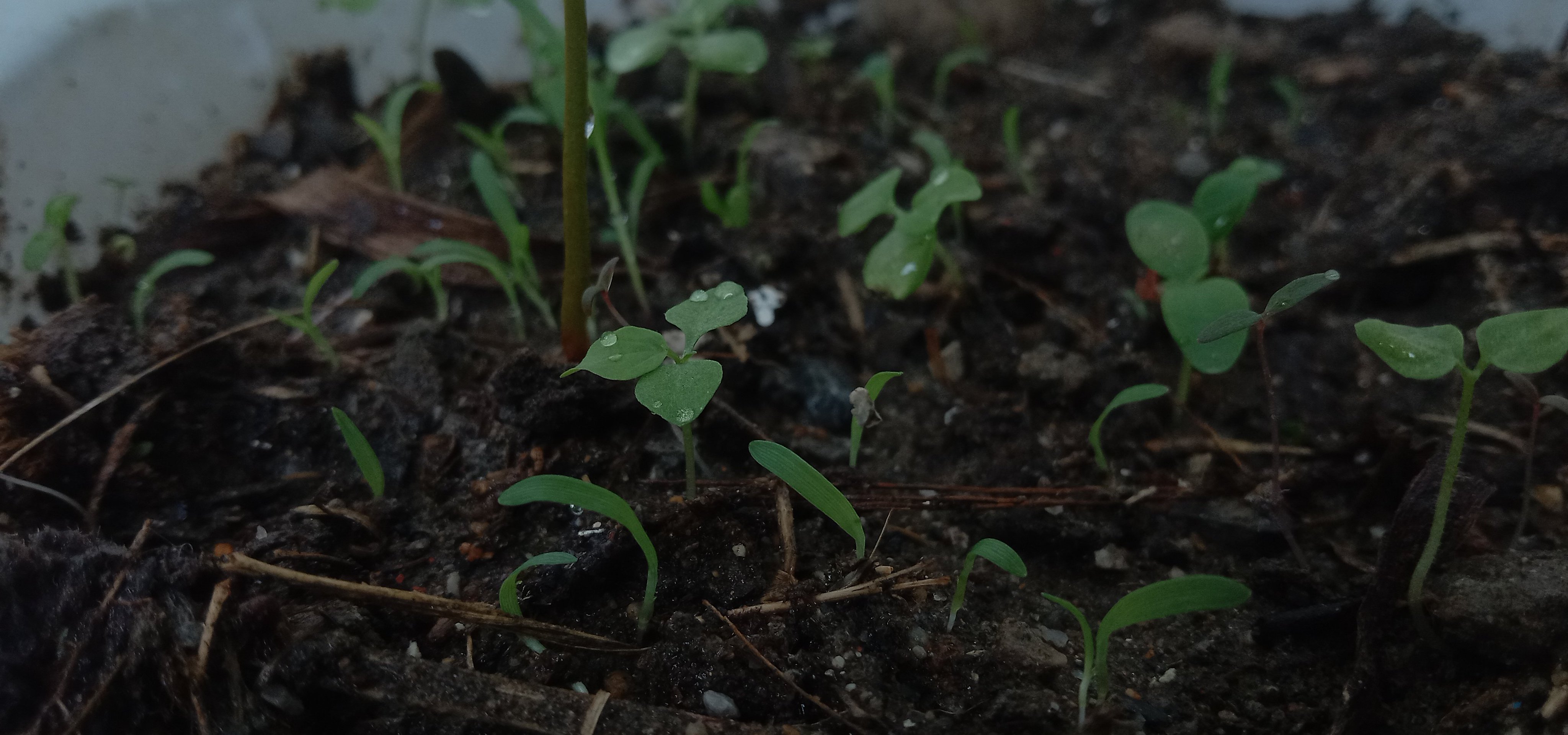 Bre97 Rakai (@bre97_community) / Twitter