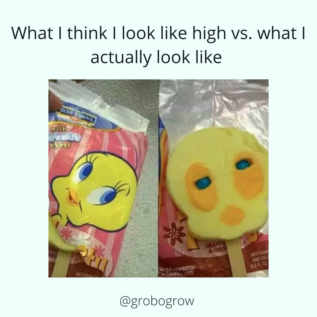 Being High Memes