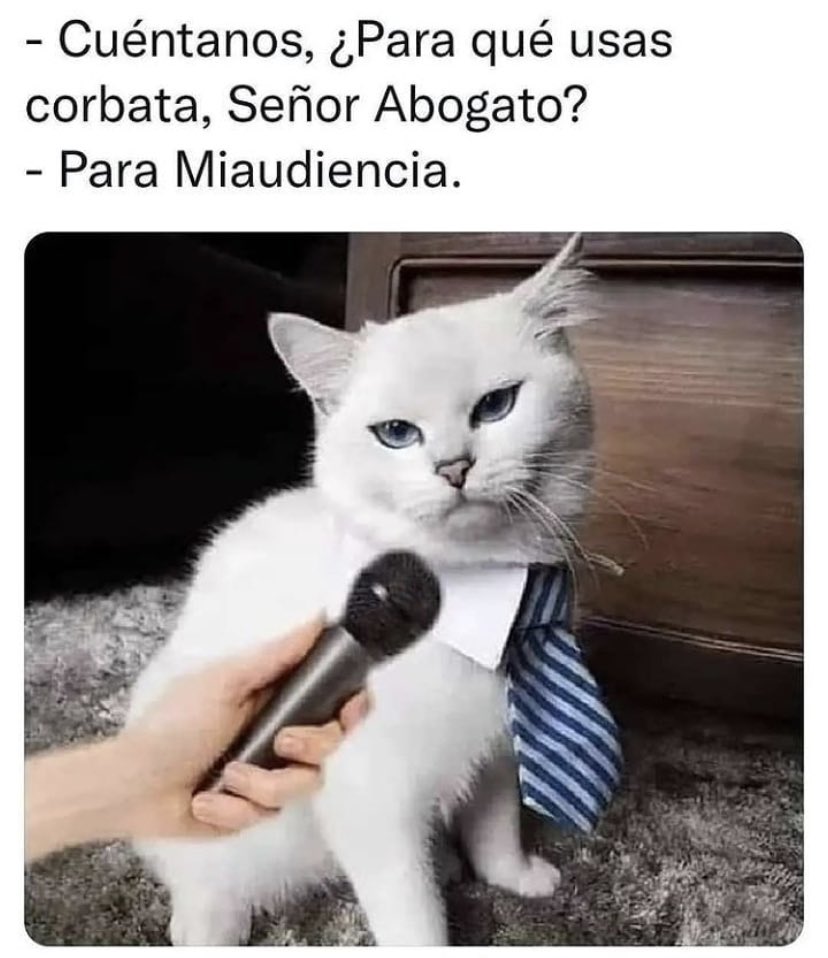 Capture Bizarre® on Twitter: