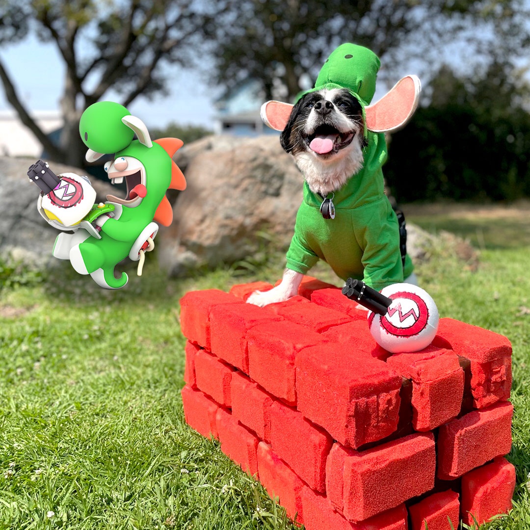 Yoshi Dog Costume