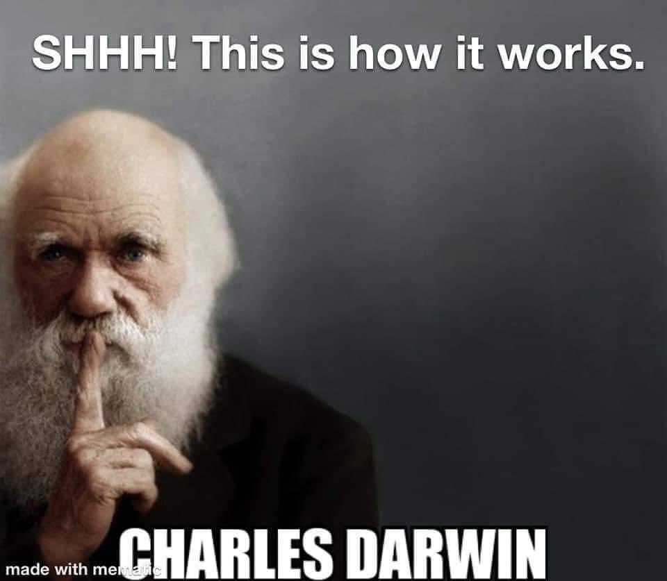 FARK.com: (12935792) Hop on the Borax train for a fast trip to your final destination