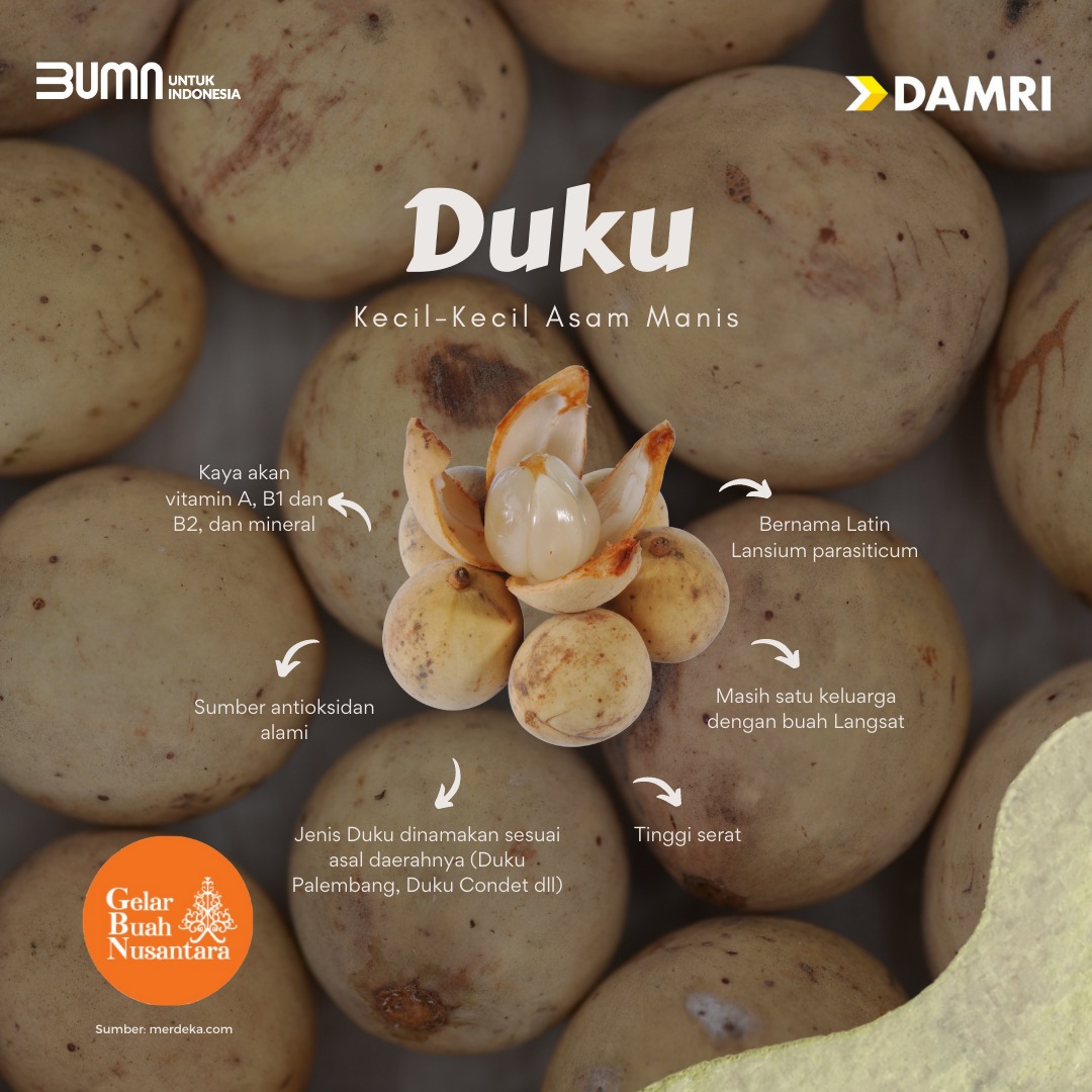 Buah Duku