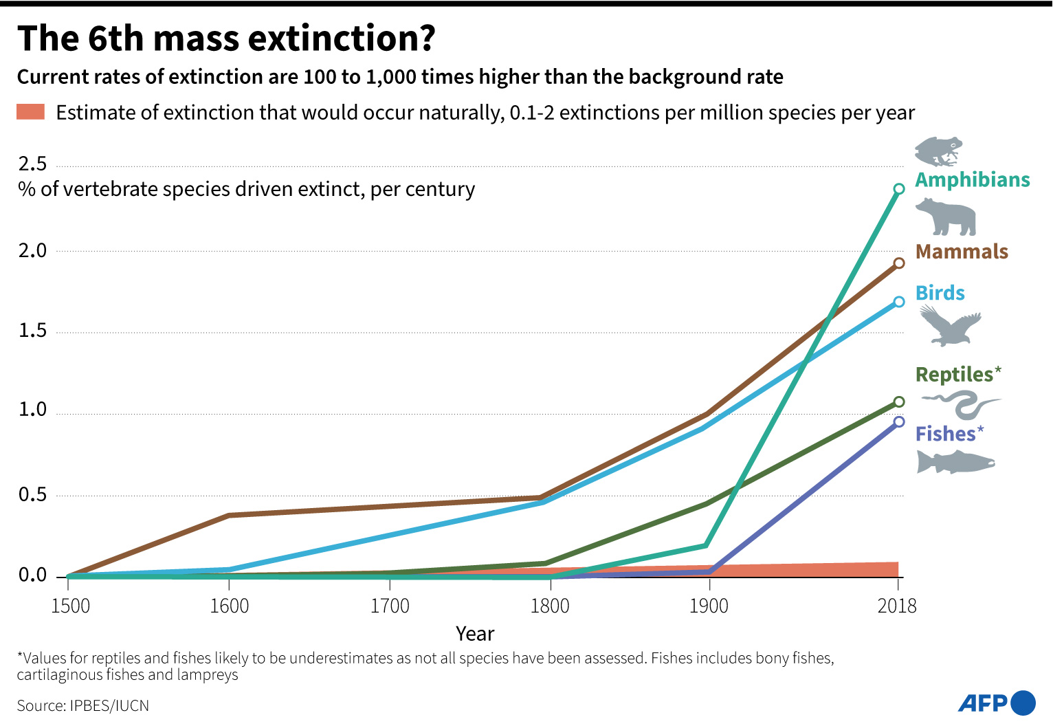 AFP News Agency on Twitter: "The 6th mass extinction? #AFPgraphics ...