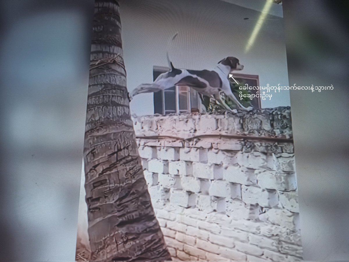 Lin Myat Oo (@LinMyatOo13) | Twitter