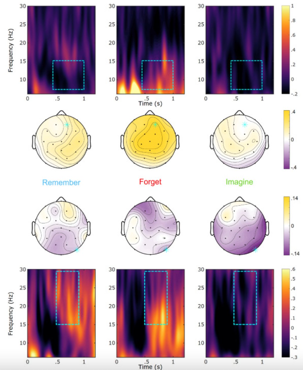CORTEX on Twitter: "#ResearchReport Separable neural mechanisms support intentional forgetting ...