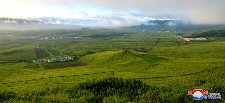 Thread by @KPR_Eng on Thread Reader App – Thread Reader App