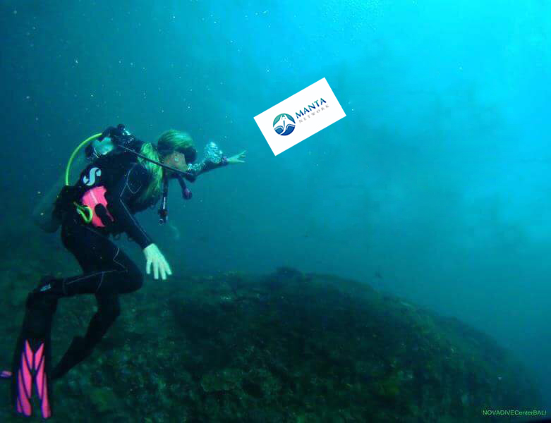 Dmitry Bespalov (@DmitryBespalov6) | Twitter