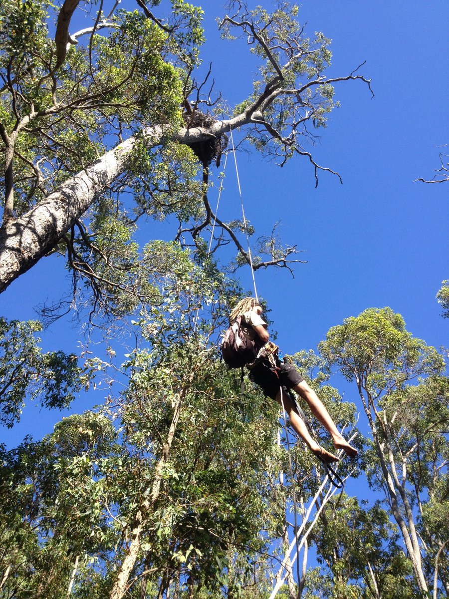 Trish Fleming @western_web X Profile | Muskviewer