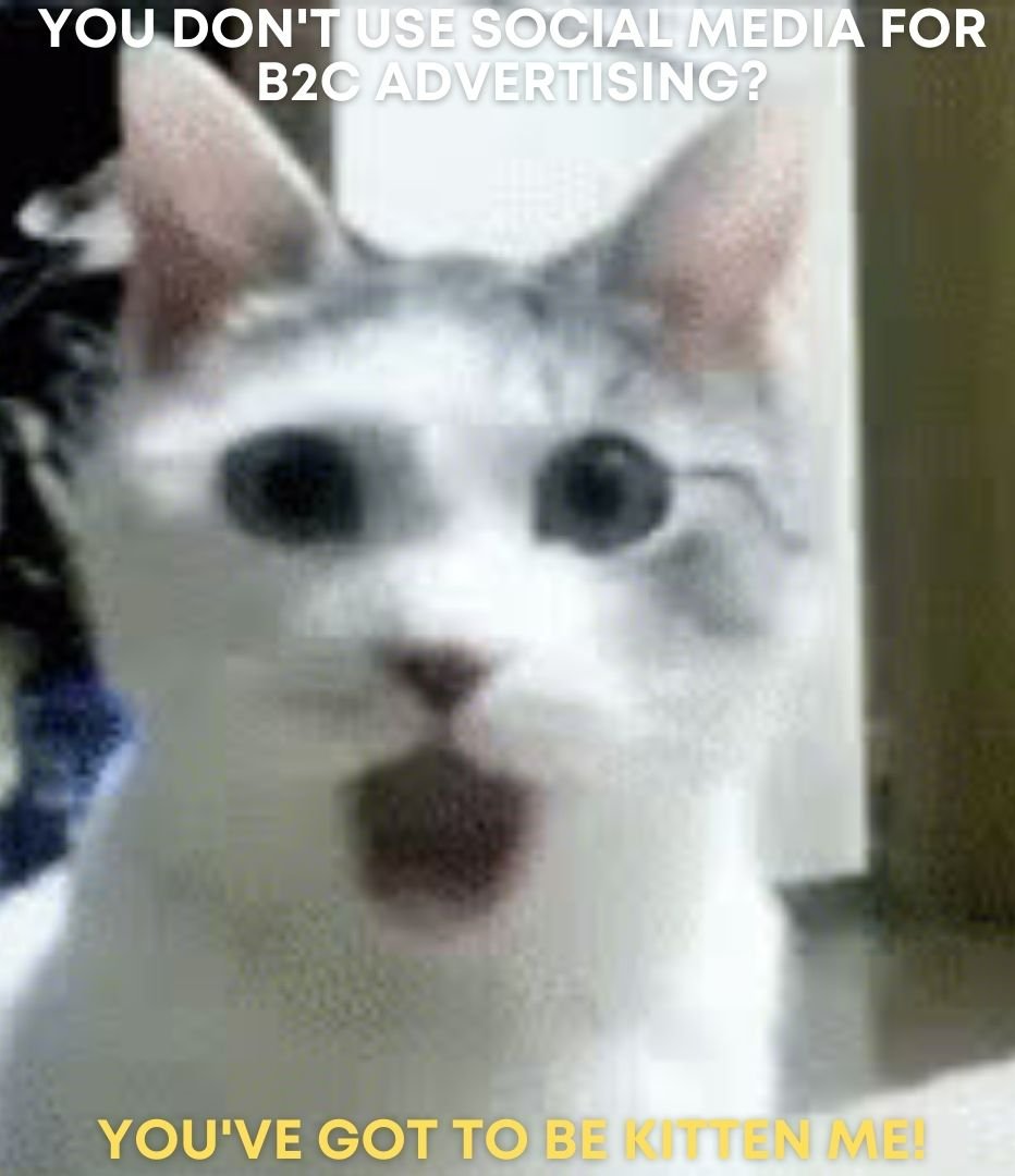 Omg Rage Face Cat