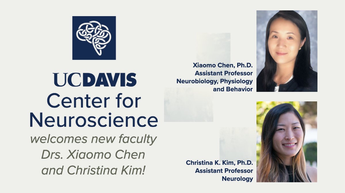 Xiaomo Chen (@Xiaomo_CCLab) | Twitter