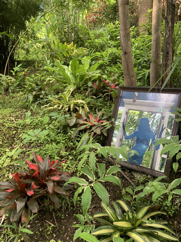 Flower Forest Barbados