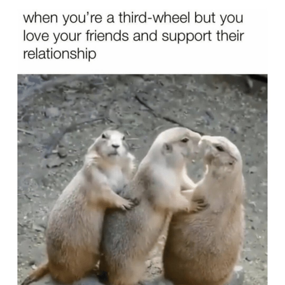 3rd Wheel Memes