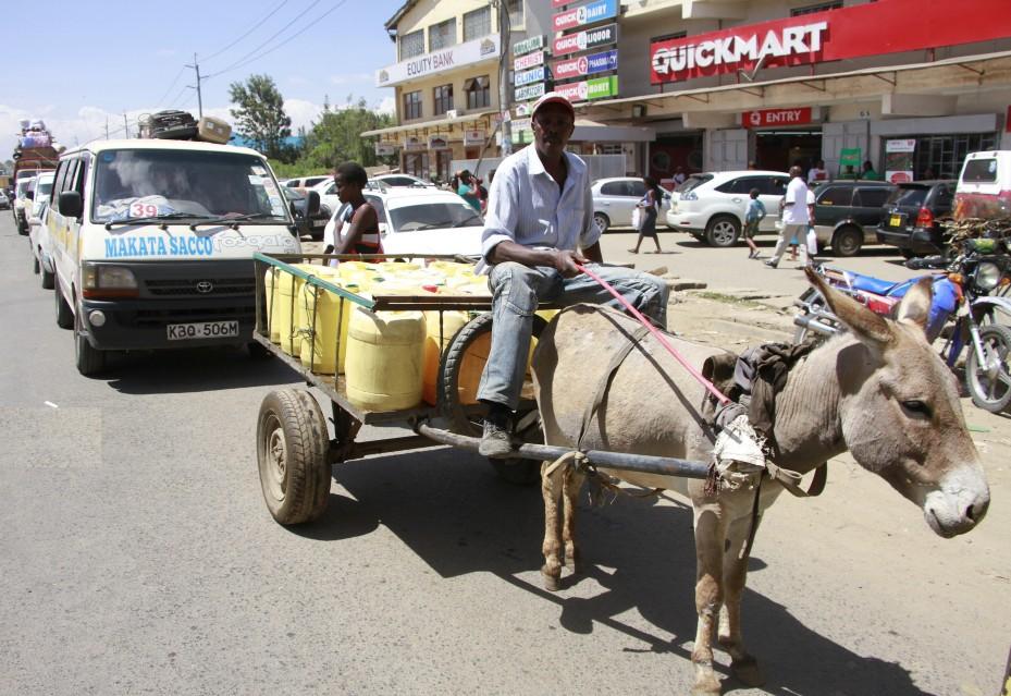 Build Donkey Carts