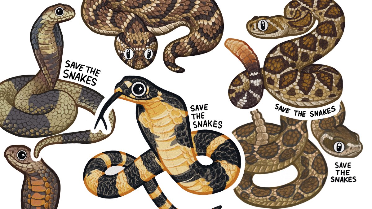 Venomous Snake Diagram PVC Snake Model Kids Snake Decoration Snake