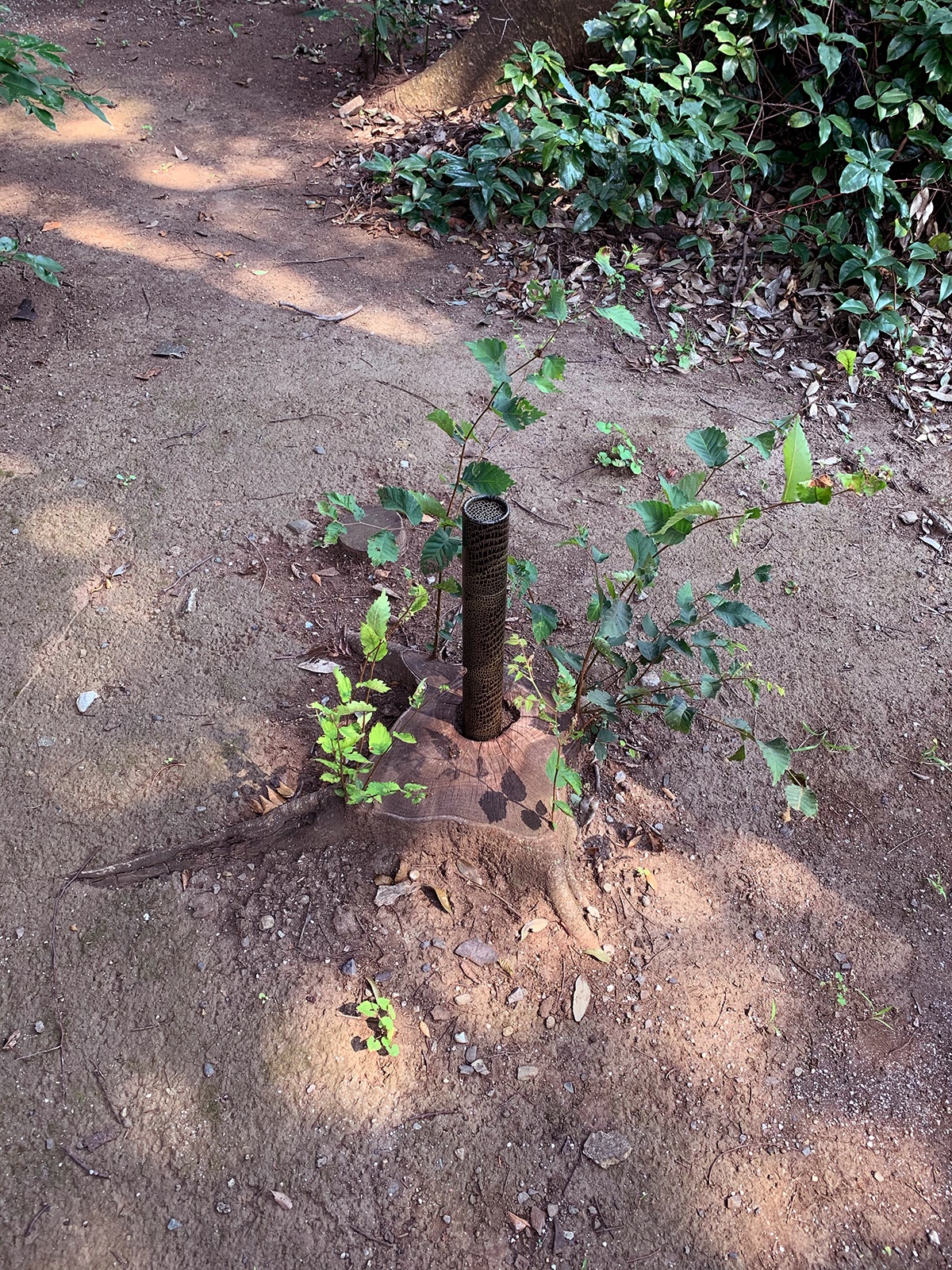 @szk_a_polka/いいもの / Twitter