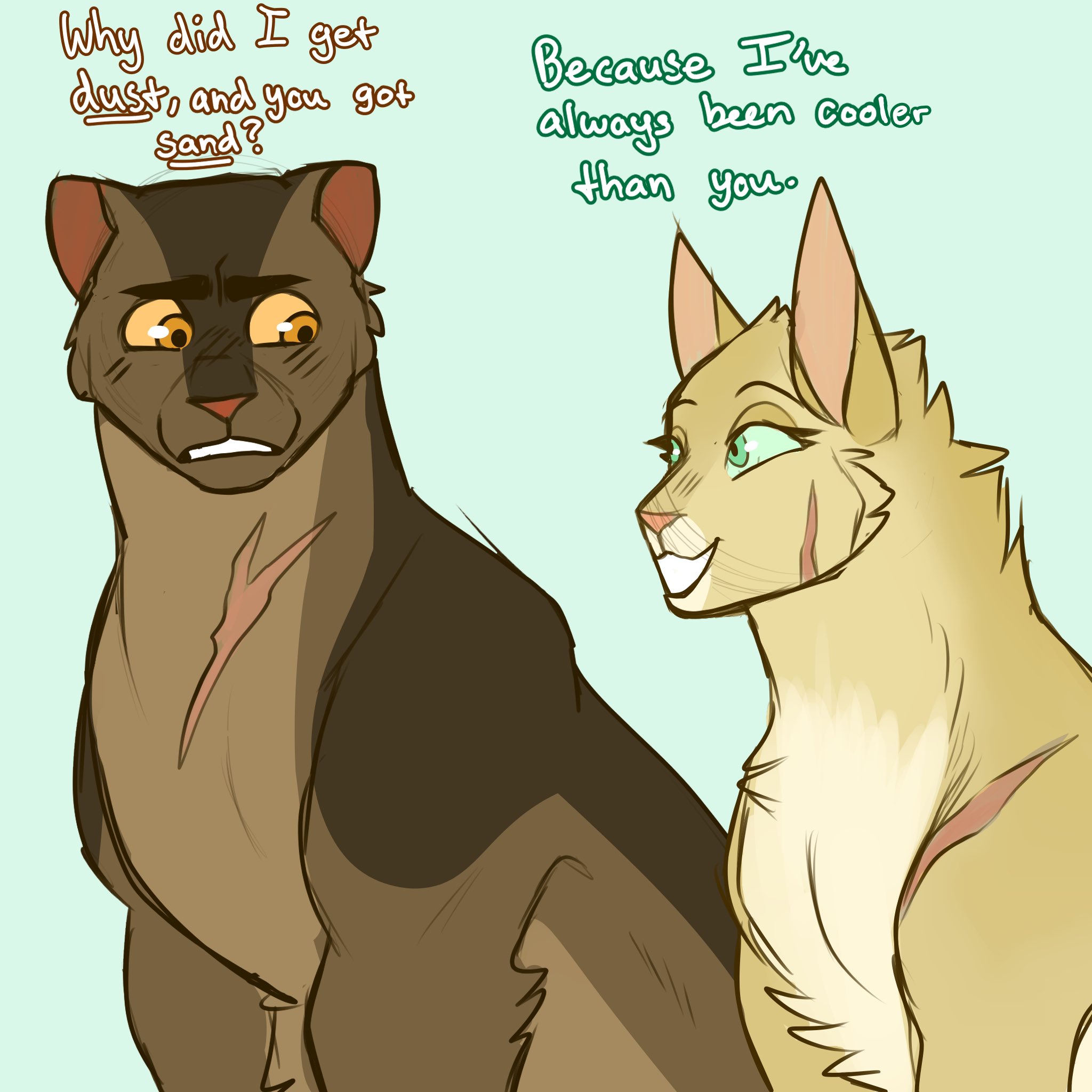 Warrior Cats Sandstorm And Dustpelt